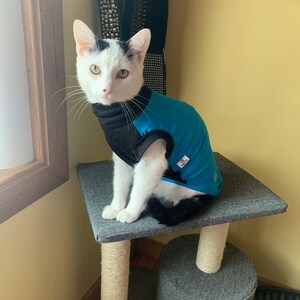 Stylish CAT Rain JACKET Waterproof Cat Coat Yellow Vintage - Etsy