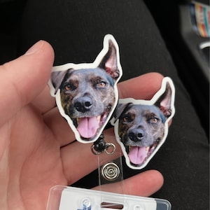 Baby Introduction Stickers Hello My Name Is...stickers - Etsy