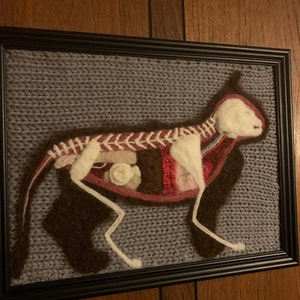 Knitted Dissected Bat Specimen - Etsy