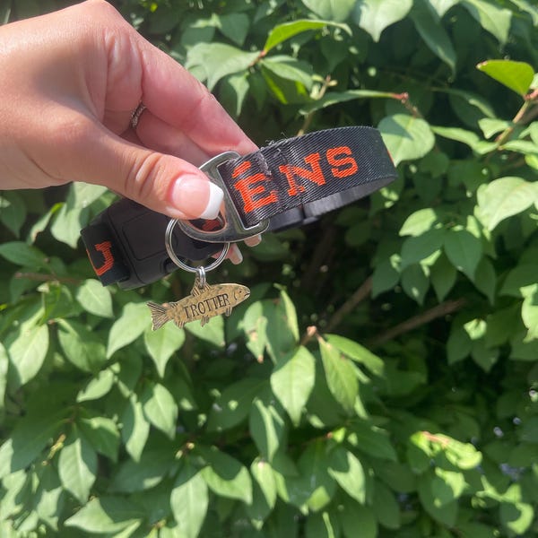 Fish Are Friends, Not Food! /hand Stamped Custom Dog Tag, Personalized ...