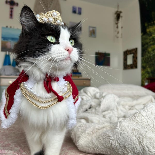 Crochet Pattern: Wedding Dress for Cats, PDF Instructions for Cat ...