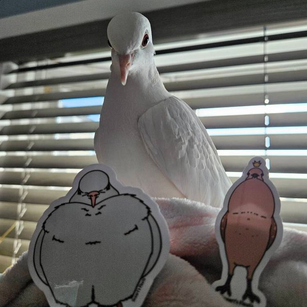 Timberdoodle Sticker | Funny Vinyl Weatherproof Water Bottle ...