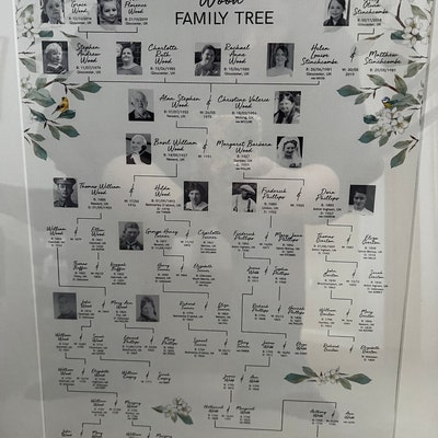 Reverse Family Tree Large Framed Illustration 5 Generations - Etsy