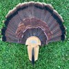 Handmade Classic Turkey Mount Plaque - Etsy