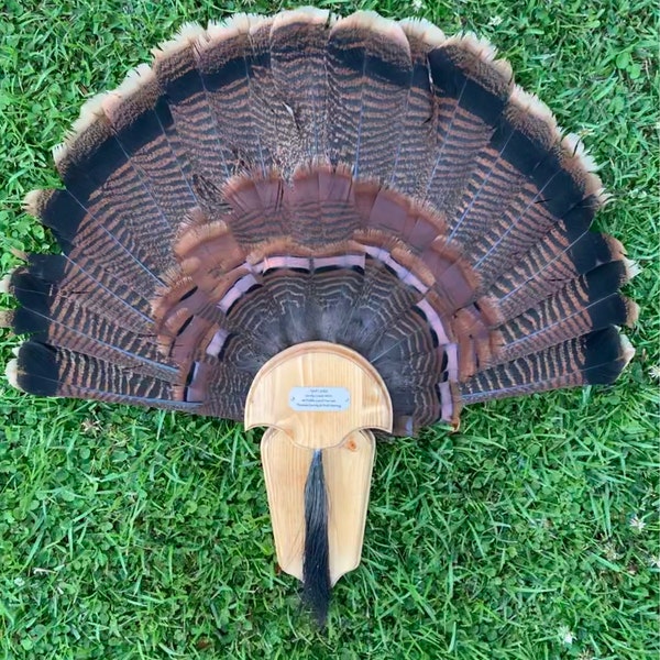 Handmade Classic Turkey Mount Plaque - Etsy