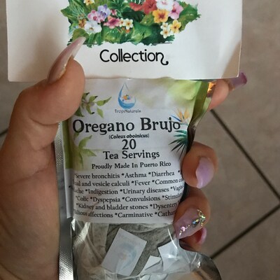 Hemoglobin Plant Singamochila justicia Secunda Tea Servings - Etsy