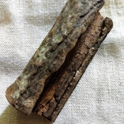 Alder Wood Magic Wand / Alder Wood Magic Wand - Etsy