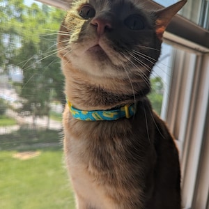 Strawberry Cat Collar Strawberry Kitten Collar Strawberry Collar ...