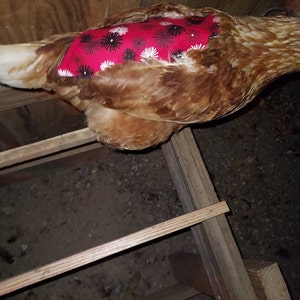 Mermaid Chicken Tutu | Etsy