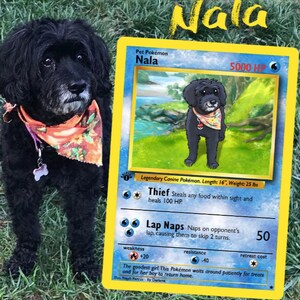 Your Pet as a Pokemon card | Etsy