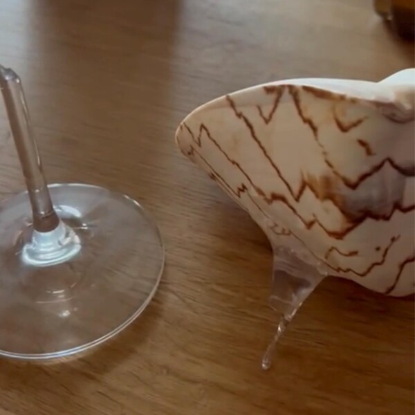 Natural Conch Shell Wine Glass,beach Wedding Bridesmaid Gifts,handmade ...