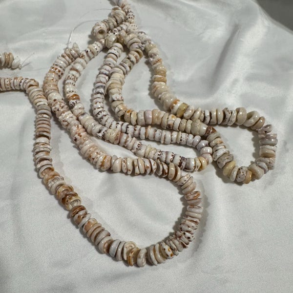 Puka Shell, Vary Size Nature Tiger Puka Shell Beads, 15.5 Inch - Etsy