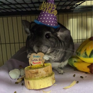 Critter Birthday or Gotcha Day Cakes Also Customizable for Any Occasion ...
