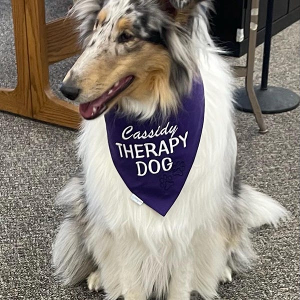 Dog Rescue Patch 3 Inch Round Patch Embroidered Rescue Dog Patch ...