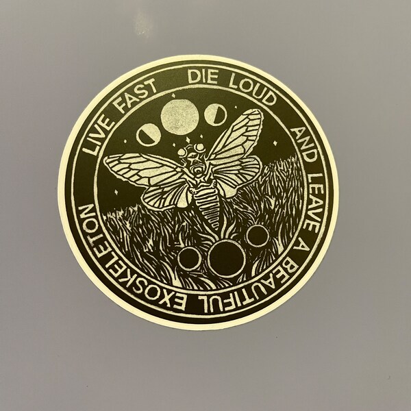 No Nazis in Valhalla Shirt, Anti-racist Rune Tee, Norse Pagans Against ...