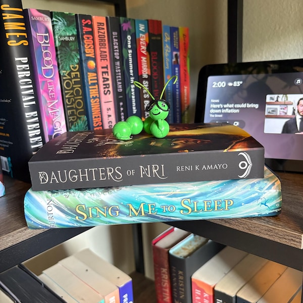 Handmade Wooden Book Worm; Bookworm;large and Small Book Worm Decor ...