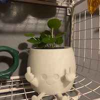 Middle Finger Happy Planter in ALL Colors Kawaii Planter, Planter With ...