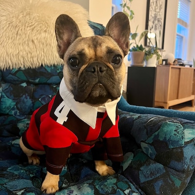 Dog Rugby Shirts. Dog Clothes. Dog Sweatshirts. Dog Outdoor Attire ...