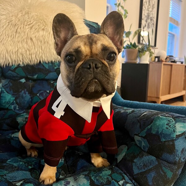 Dog Rugby Shirts. Dog Clothes. Dog Sweatshirts. Dog Outdoor Attire ...