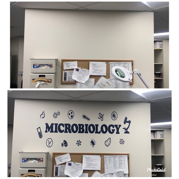 Microbiology Wall Decal, Microbiology Decor, Classroom Wall Decal ...