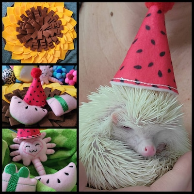 Hedgehog Dig Box Forage Enrichment Activity Cage Clutter - Etsy