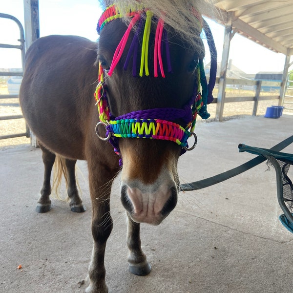 Pony Tack, Miniature Horse Tack, Pony, Pony Tack, Pony Hackamore, Pony ...