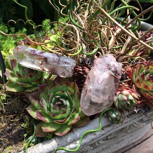 Amber Genuine Petrified fossilized Tree sap from Sumatra | Etsy