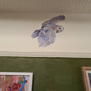 Badger Wall Decal Badger Gifts Wall Stickers Wildlife - Etsy