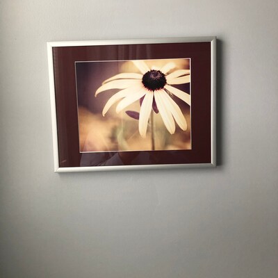 Burgundy Wall Decor, Flower Photography Modern Rustic Decor, Nature ...