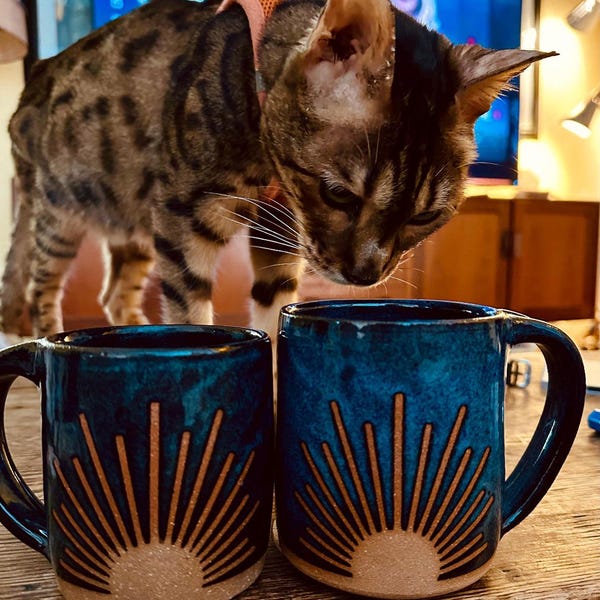 Solstice Mug: Handmade Pottery Mug With Sun Design, Ceramic Coffee Cup ...