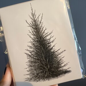Pine Tree Note Card Set of 10 in White or Light Ivory With Matching ...