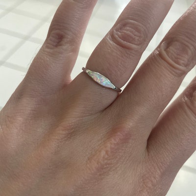 Moon Snail Shell Tanea Lineata 24k Gold Plated Trim Pendant Sea Pendant ...