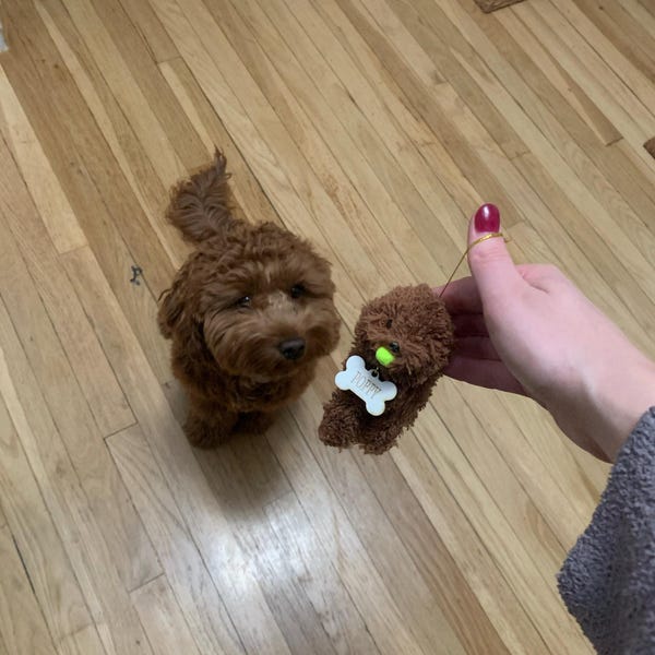 Fetch Doodle Dog Ornament Personalized | Doodle Ornament | Dog ...