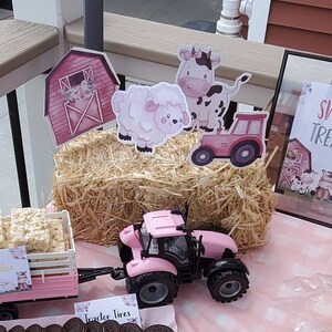 Girl Farm Centerpieces Pink Farm Party Table Decor Farm Girl | Etsy