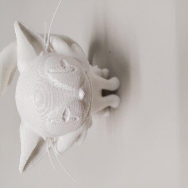 Zelda: Tears of the Kingdom - All 8 Secret Stones 3D Print - Etsy