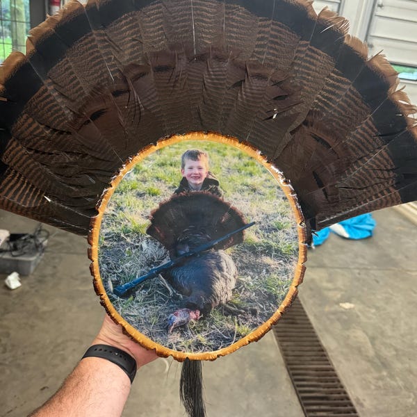 Custom Turkey Fan Mount - Turkey Fan With Color Photo - Turkey Fan ...