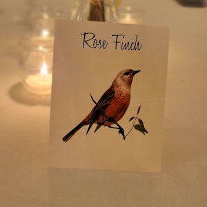 Bird Table NUMBERS, Bird Table Tent Cards, Wedding Table Cards With ...