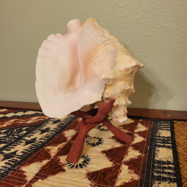 Large Wood Display Stand I Large Wooden Display Stand I Conch Shell ...