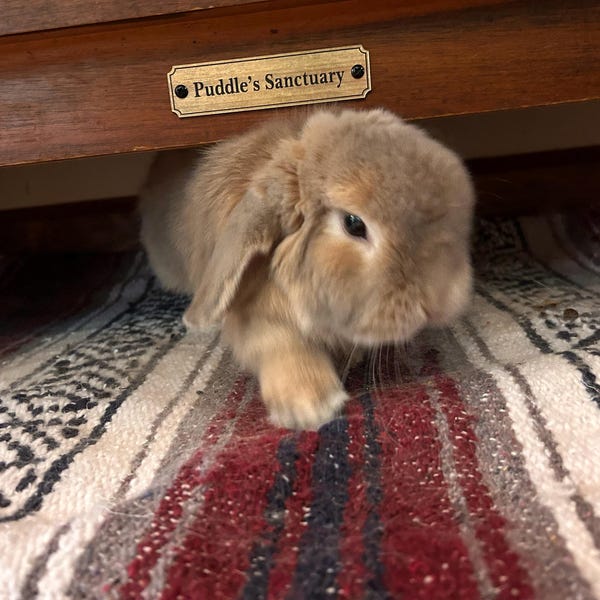 Personalized Custom Engraved Acrylic, Brass Look, Plastic Name Plate ...