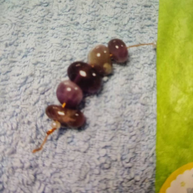 Fizzy Elements Gemstone Beads by FizzyElements on Etsy