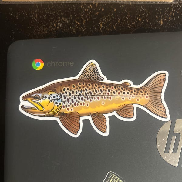 Pennsylvania TROUT Fly Fishing License Plate Sticker, 4" X 2", Vinyl ...