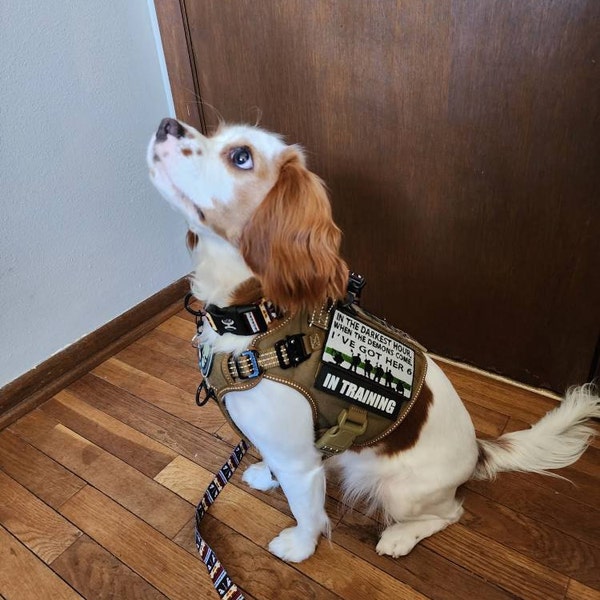 Personal Protection Dog Velcro Patch Set. FAFO. 100% Fully Embroidered ...