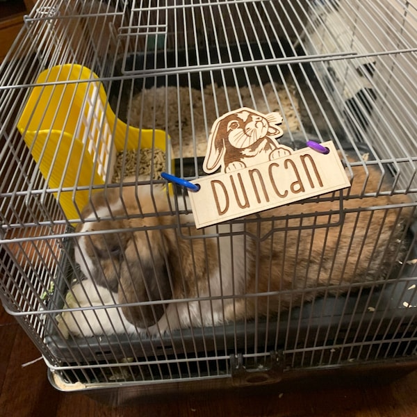 Bunny Rabbit Ears Down Cage Tag, Personalized, Custom, Engraved Wood ...