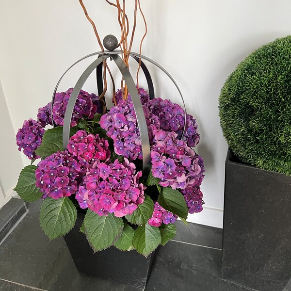 Assorted Fresh Greenery | DIY Wedding & Event Kit | Mix of Eucalyptus ...