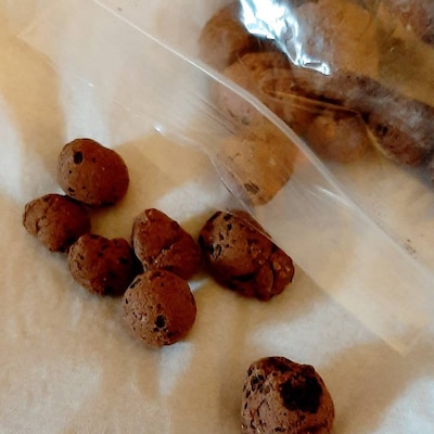 Empty Witch Bottles Zuggans Wicca Witchcraft Hoodoo Voodoo Tools - Etsy