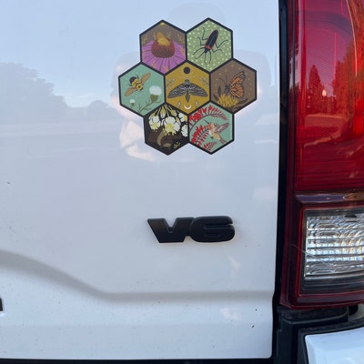 Vinyl Sticker: Endangered Pollinator Series / Large Bee Bumper Sticker ...