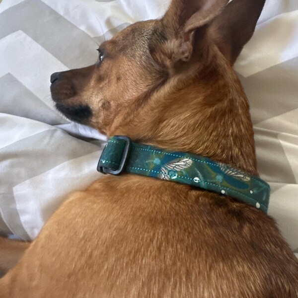 Poppy Flowers Adjustable Dog Collar, Poppy, Dog Collar, Dog Collars ...