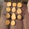 Rustic Wood Log Stumps: Set of 7, Natural Bark Decor - Etsy