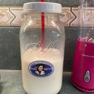 Kefir Fermenter: Container With Kefir Grains (20 G) - Etsy