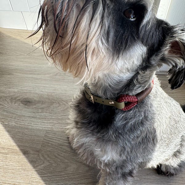 Adjustable Dog Rope Collar (made to Order) - Etsy